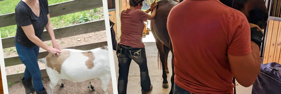 The Beacon Center of Tennessee