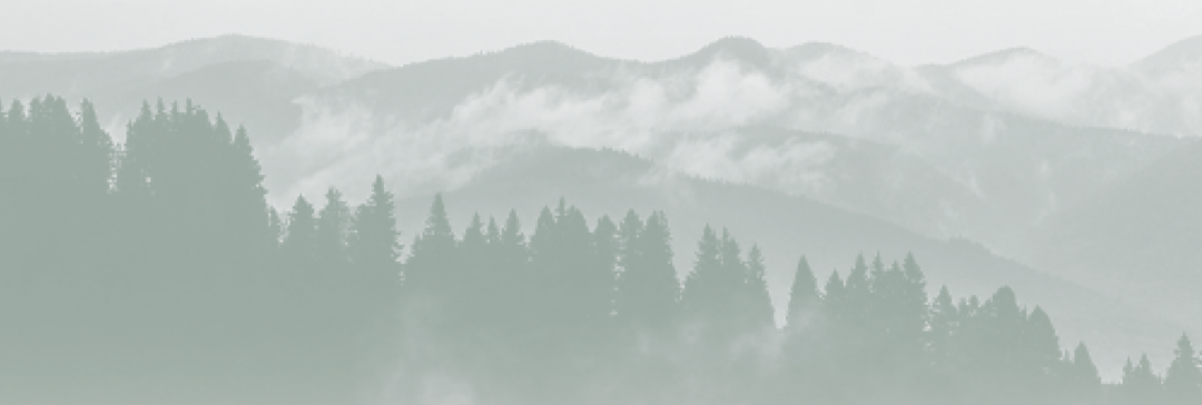 The Beacon Center of Tennessee